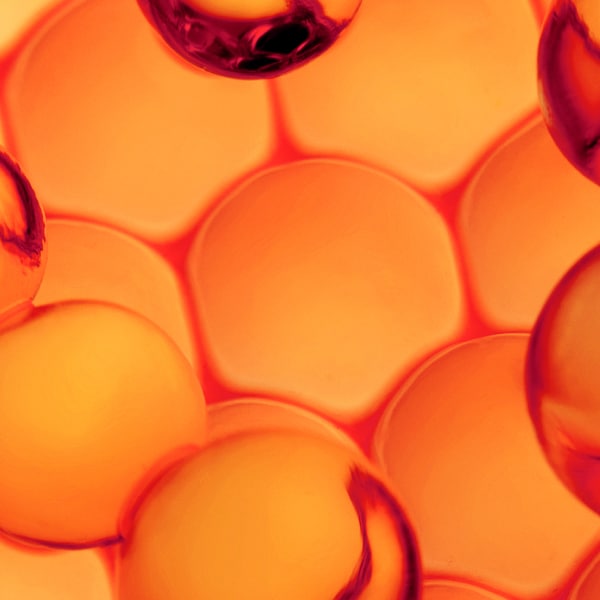 Apple Stem Cells for Skin | Ingredient 101 | Origins